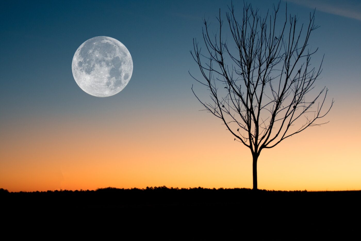 Getting a Free Moon Reading: Unlock Your Personal Astrology Chart