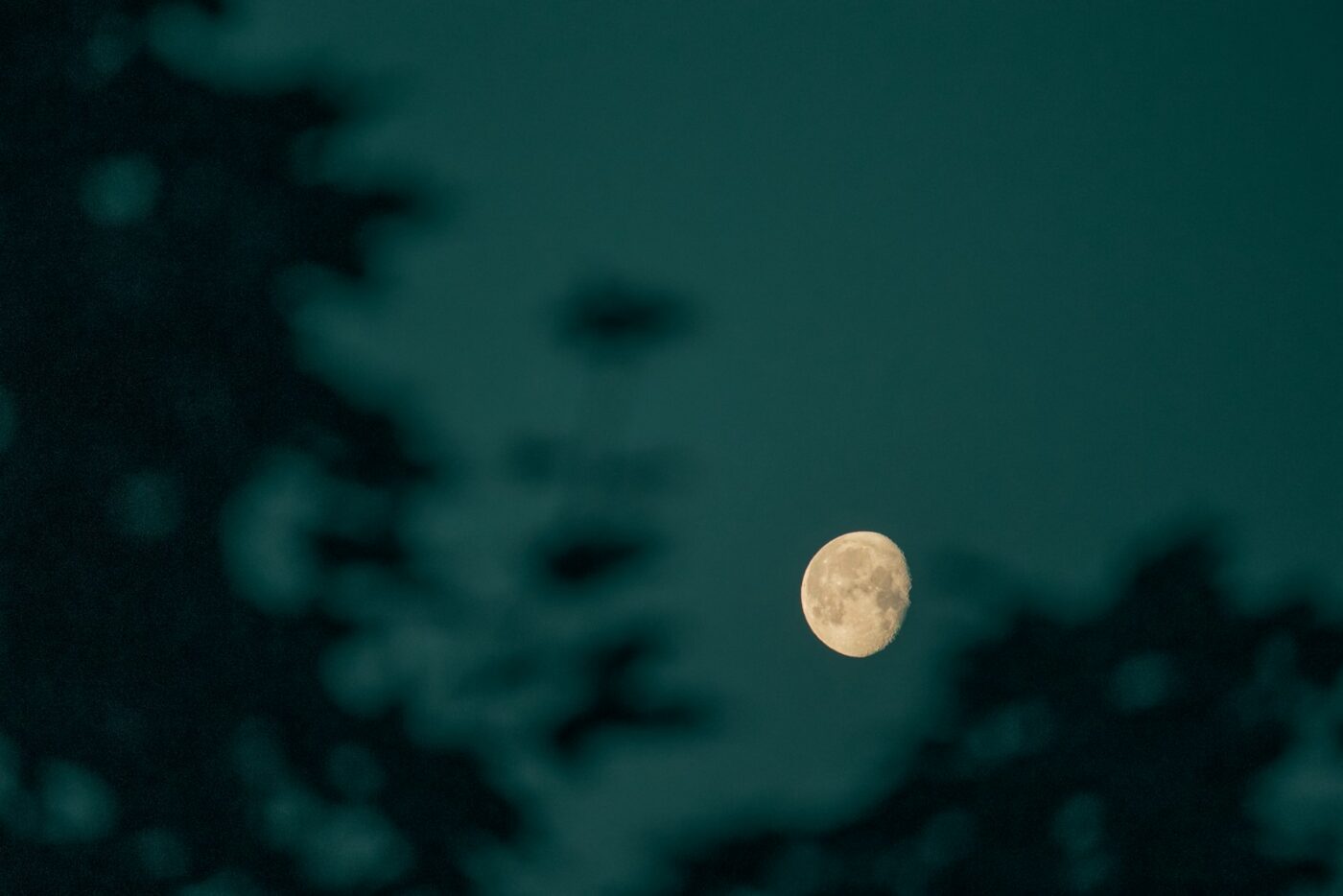 Moon Sign Compatibility: What 200+ Real Relationships Revealed
